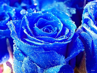 Psicología del Color.: Azul