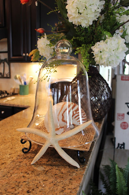 Designs by Pinky: Adding Shells to my Decor for Summer