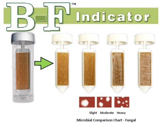 เปรมศักดิ์กมล อินเตอร์เทรด: ชุดตรวจสอบแบคทีเรียเคลื่อนที่ (BF-INDICATOR)