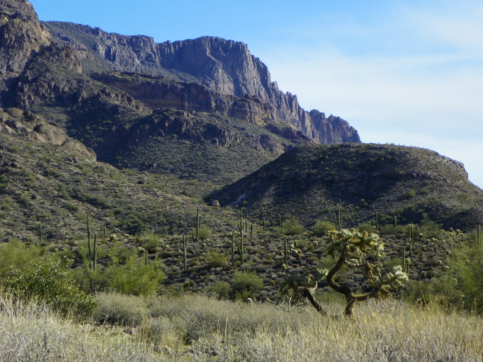 ON THE ROAD: Rock Shadows RV Park-Apache Junction,AZ
