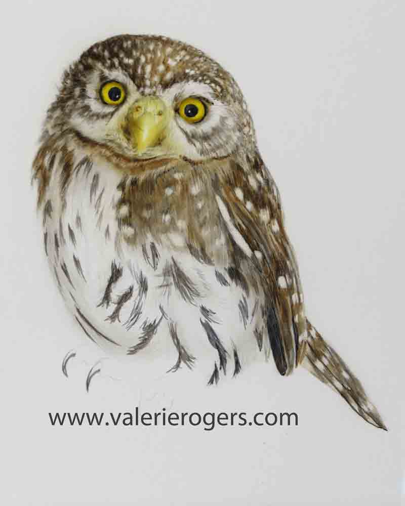 Valerie Rogers Art - www.valerierogers.com