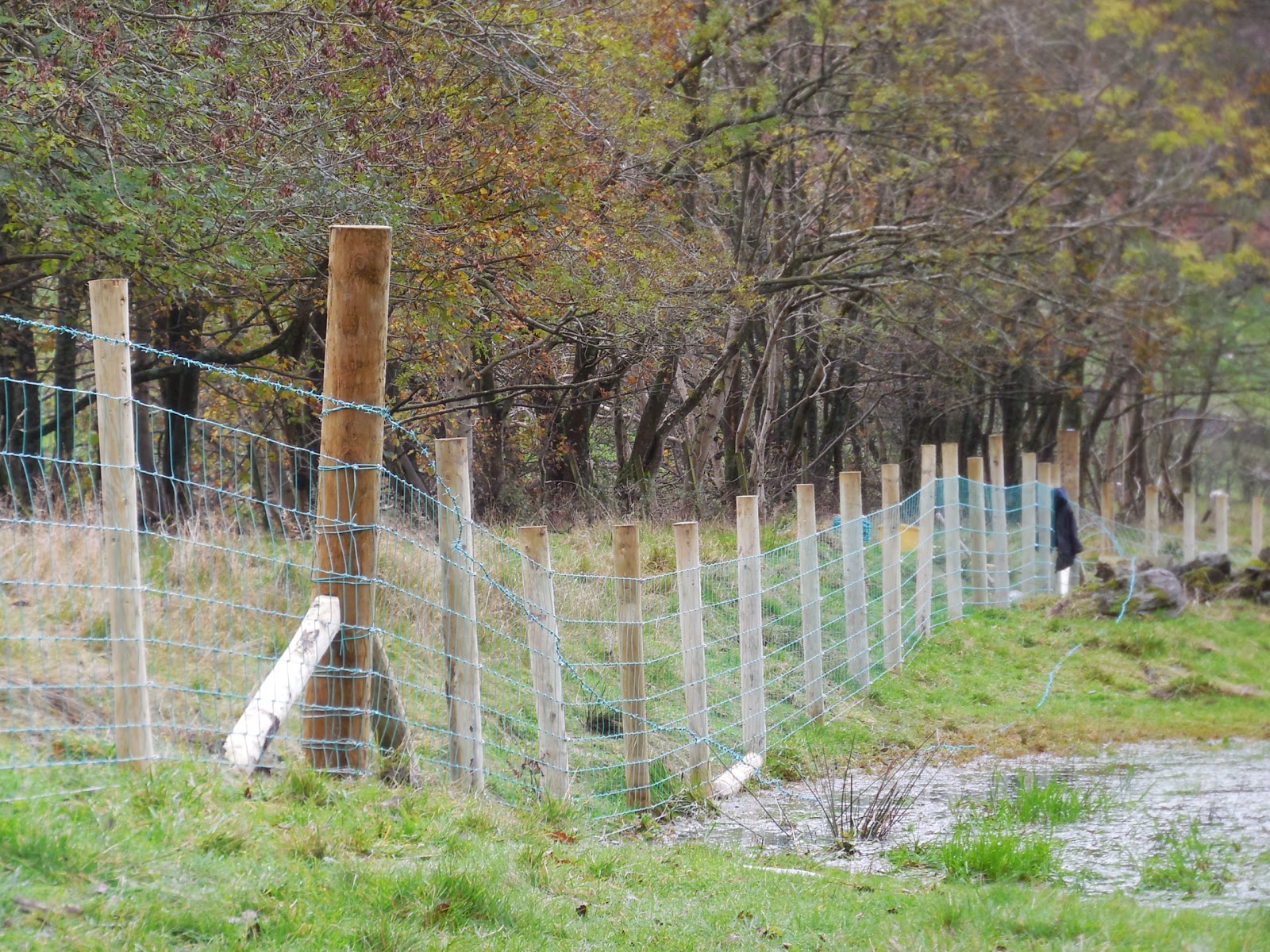 Central and East Lakes Rangers: Troutbeck Fencing Project with the ...