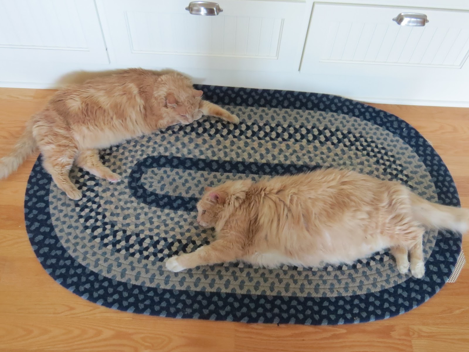 Garden Grumbles and Cross Stitch Fumbles: Monday Musings