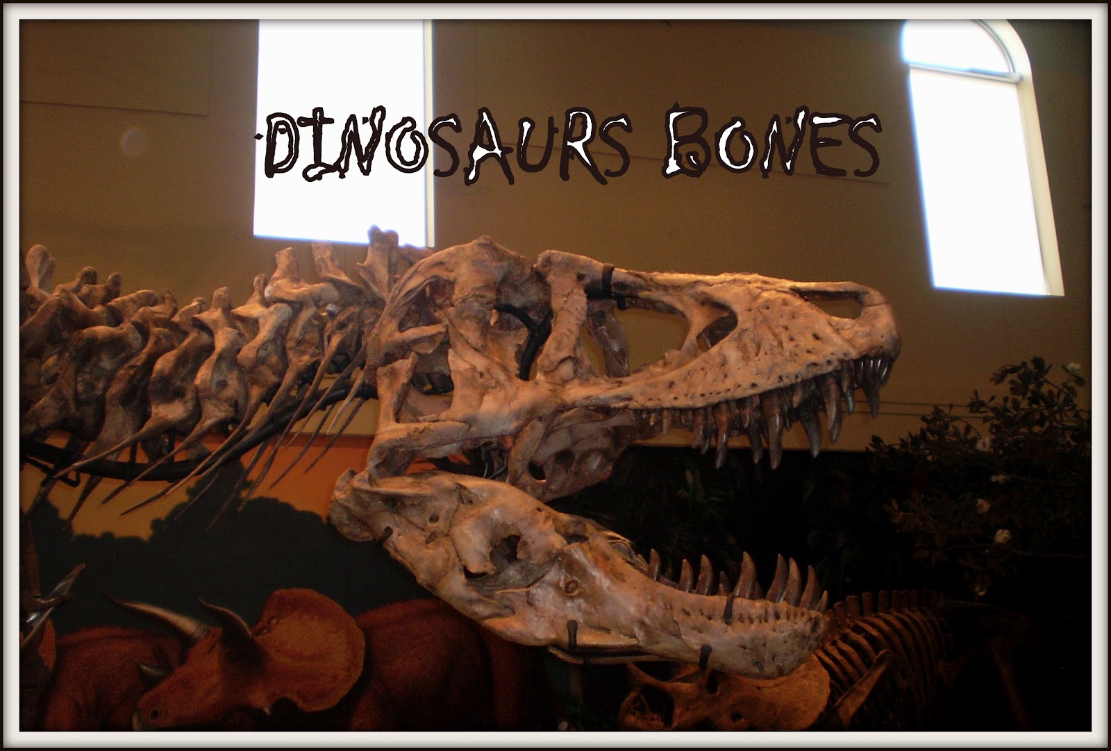 Creative and Curious Kids!: Discovering Dinosaur Bones