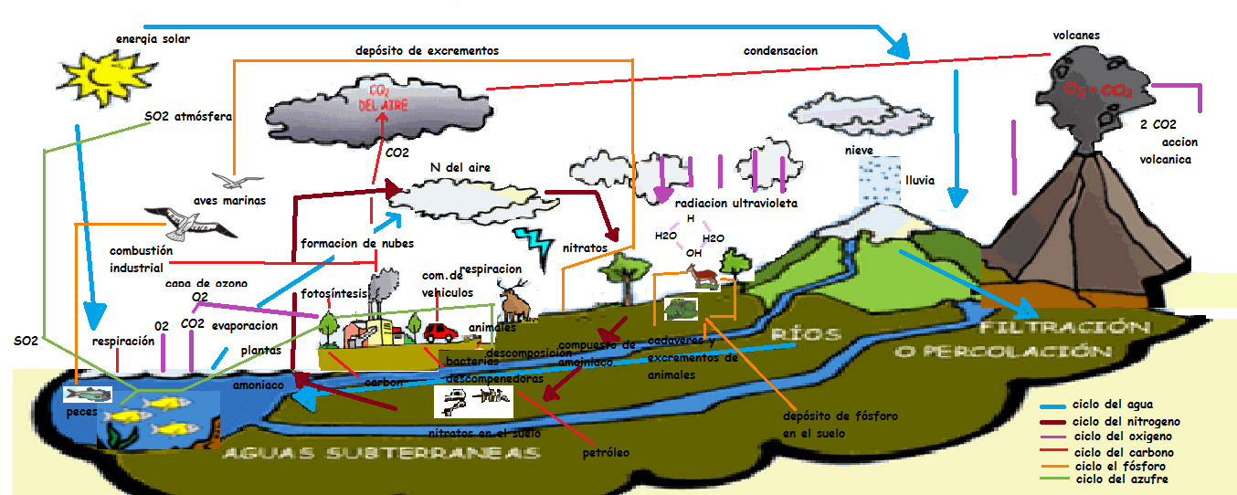 CICLOS BIOGEOQUIMICOS: Indice.