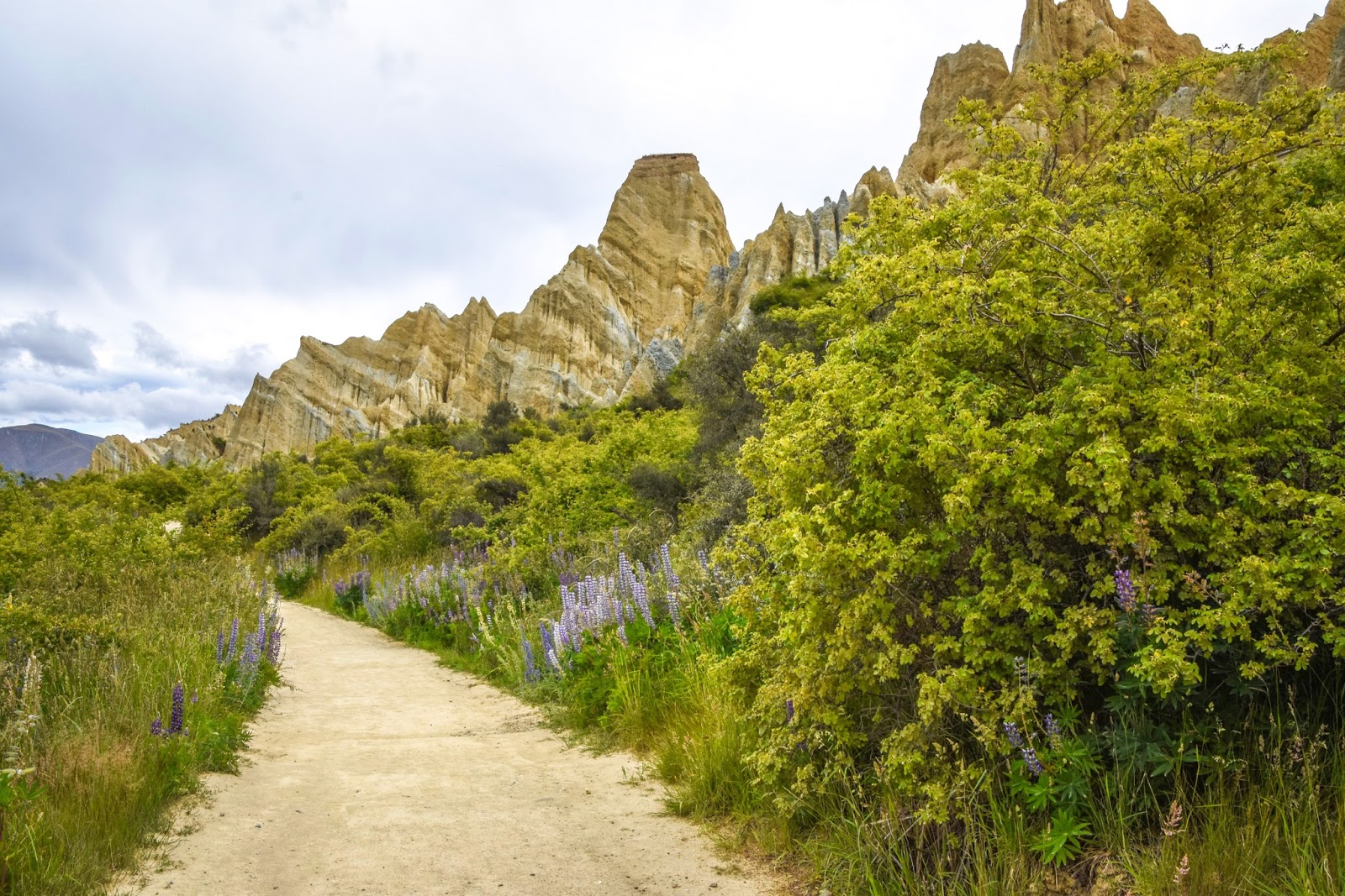 Paws Awhile: Omarama's Clay Cliffs