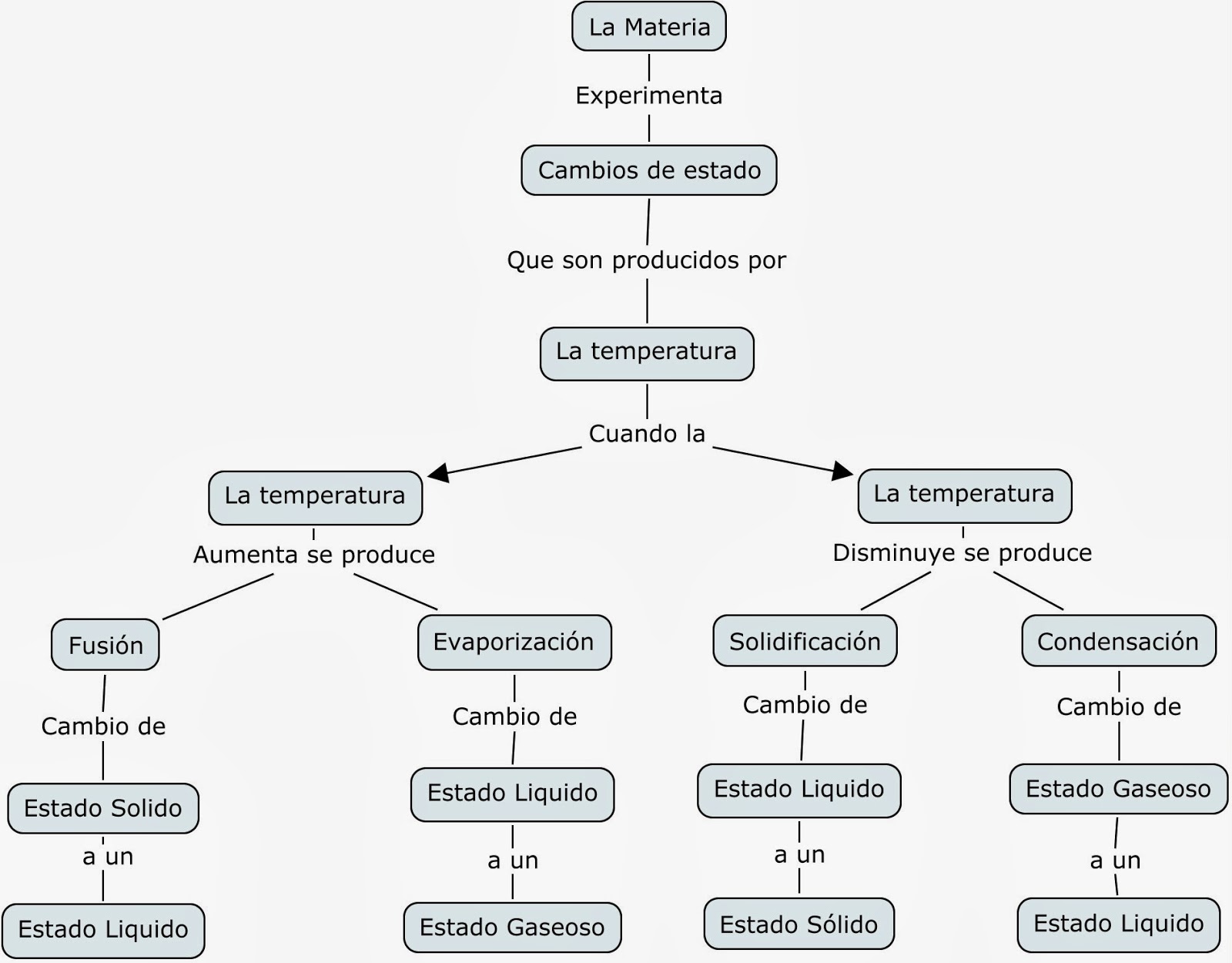 Mapa Mental Estados De La Materia - arbol