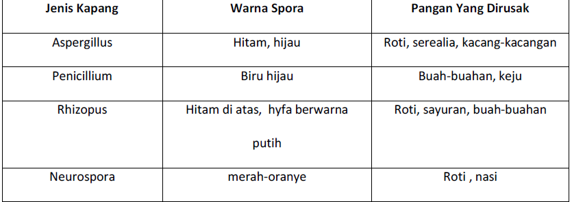 KAPANG - Setitik ilmu