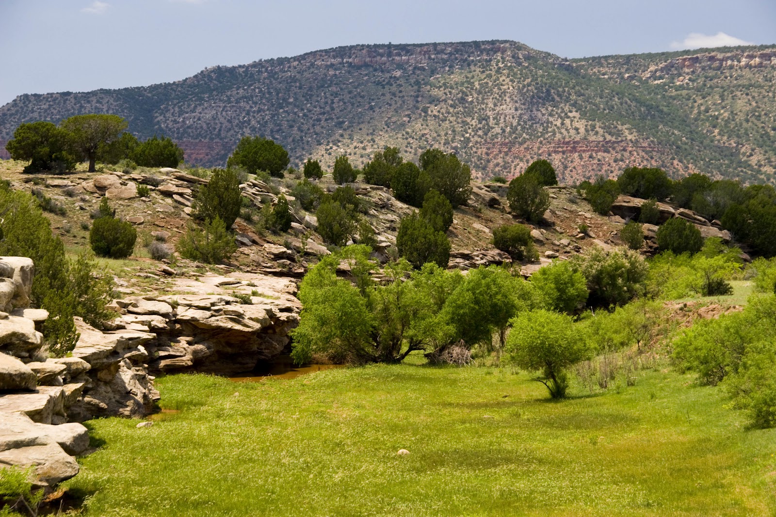 z photo and design: Exploring Around Ute Lake State Park