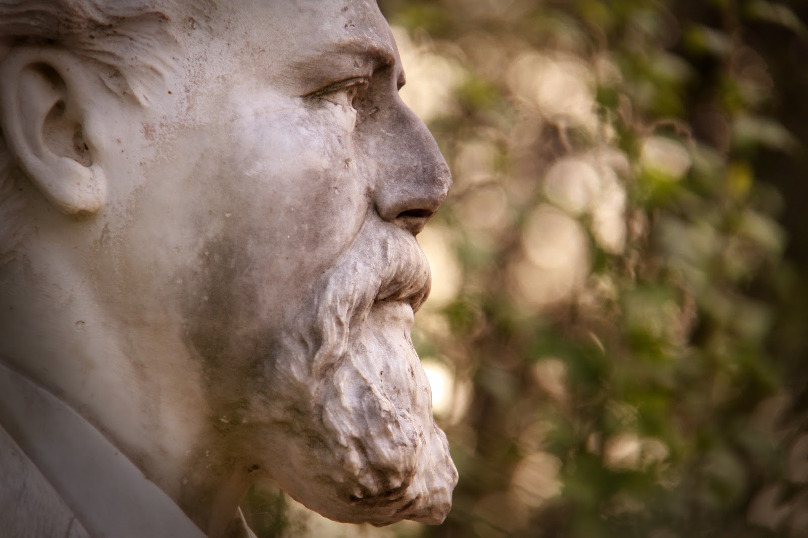 Una Recorrida por Nicanor Olivera: Don Nicanor