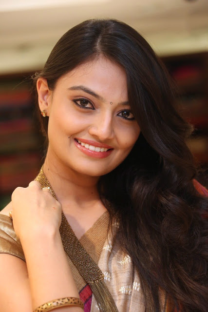 Nikitha Narayan Cute Photos in Saree - Media Updaters