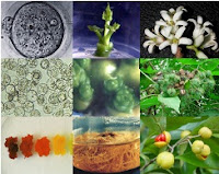 Pengertian Biosistem