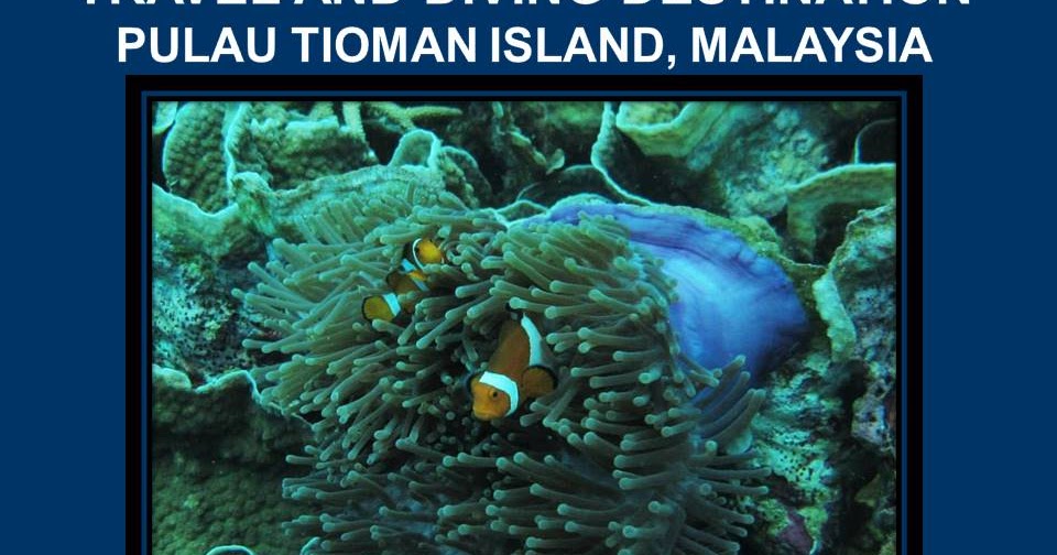 SCUBA and Travel: Travel and Diving Destination: Pulau Tioman Island ...