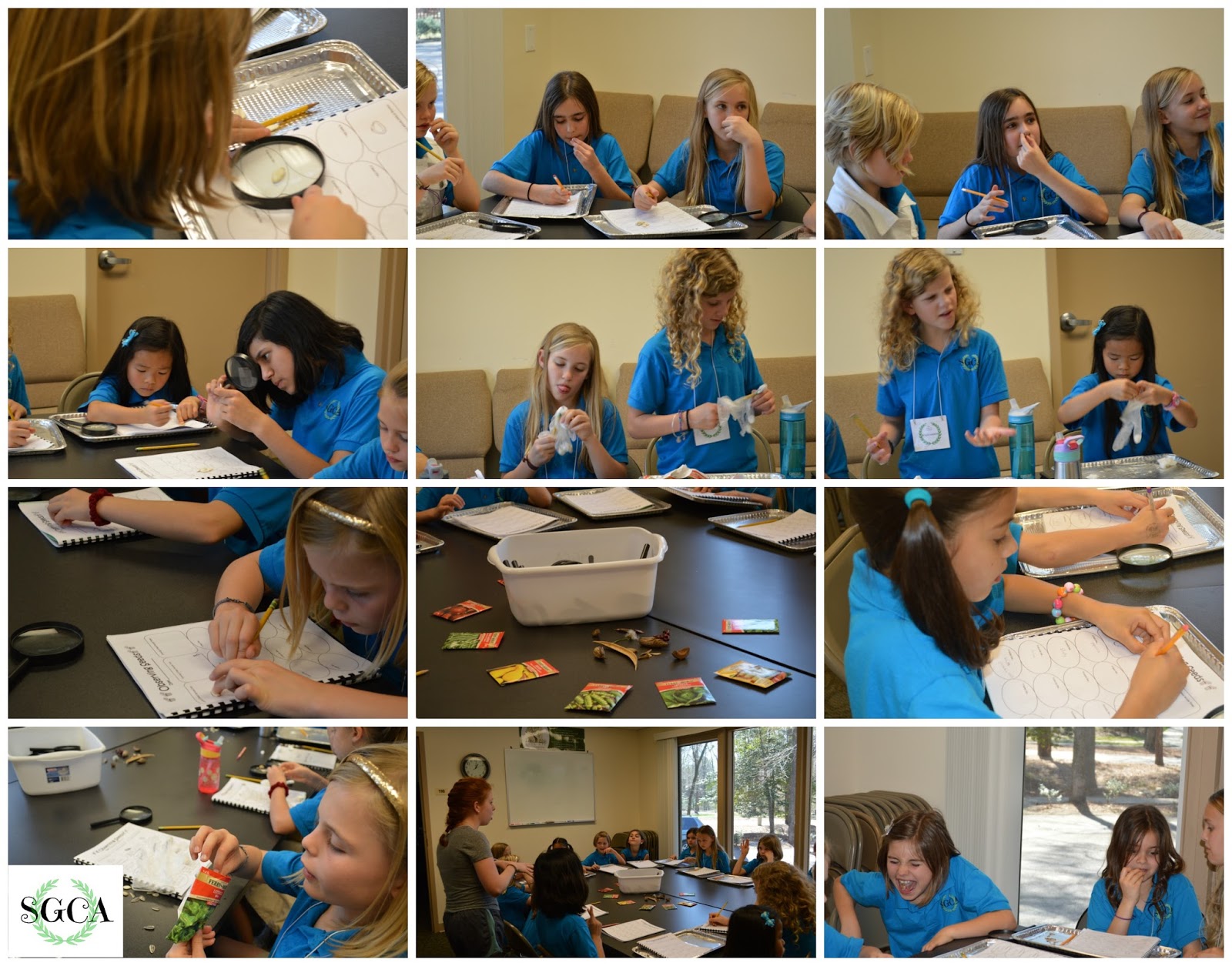 Solagratiamom: Week 24 - Schole' in Practice