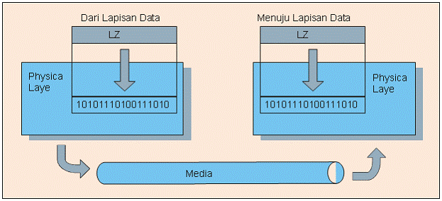 Lapisan menurut osi | Citra teknologi