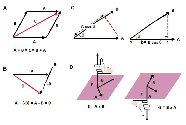 Produto Escalar de Vetores: Exercícios Resolvidos - Engquimicasantossp