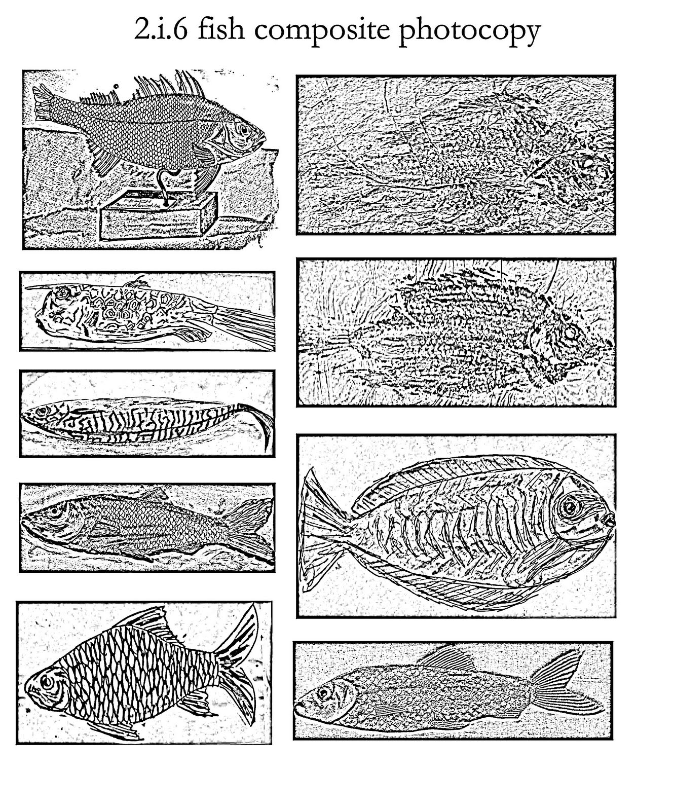 Catherine's Stitching: April 2011