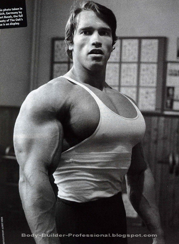 Body Builder Professional: arnold Schwarzenegger body build