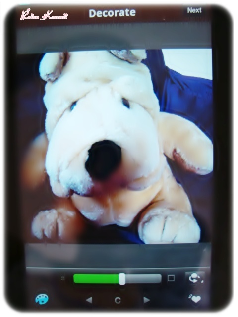 DecoPic e Snapeee: Puricute no Android e iPhone!