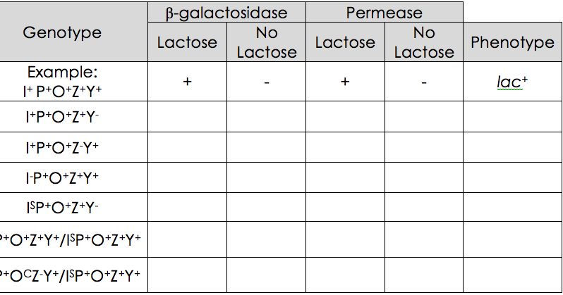 DNA Structure and Function: Operon example from Sanders book