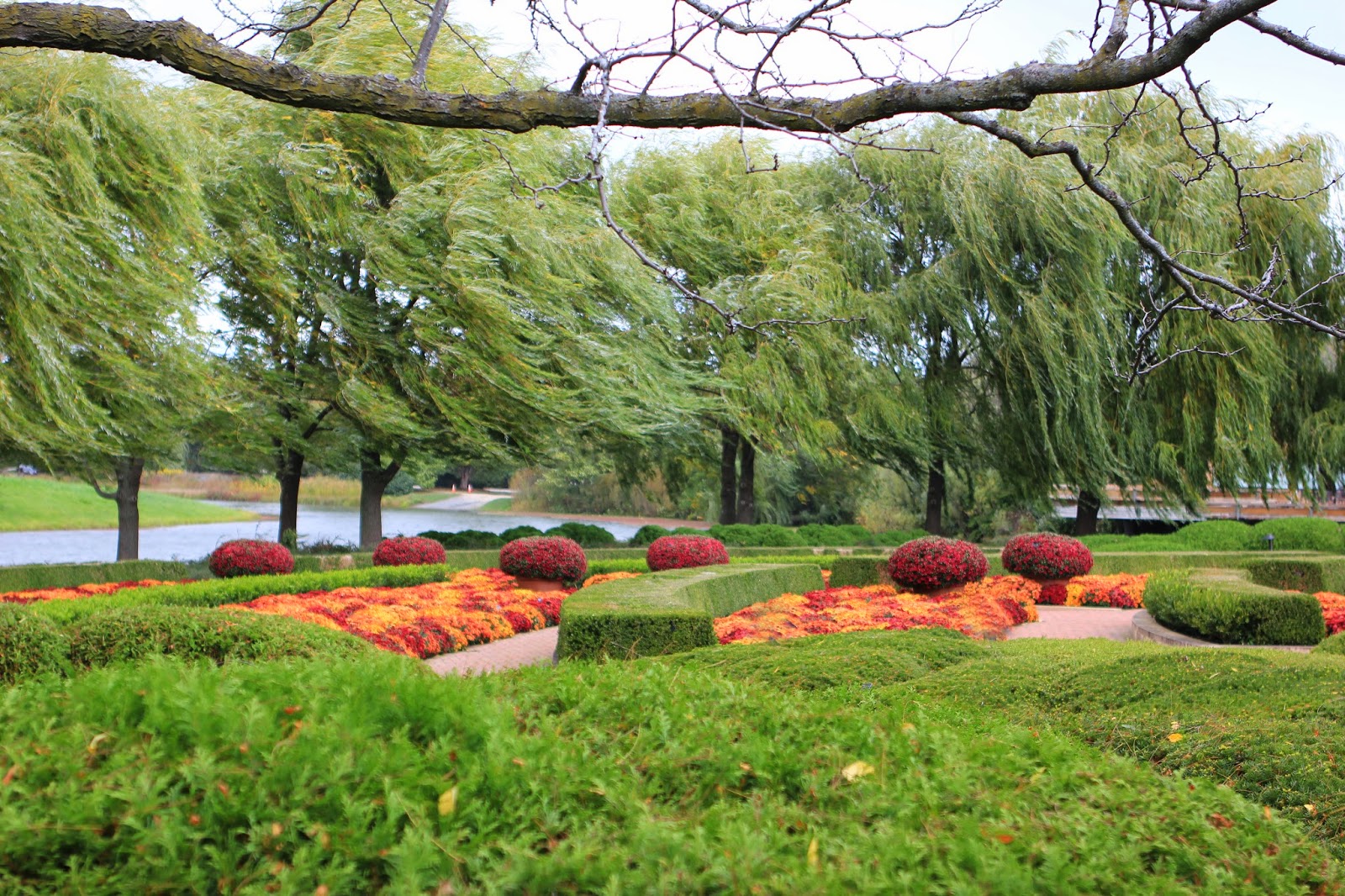 Romancing the Home: Fall Color at the Chicago Botanic Gardens