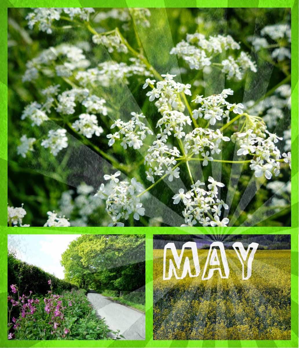 ORIGINAL ART by Paula Oakley: "The Colours of May" Painting the ...