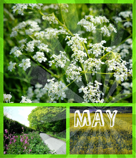 ORIGINAL ART by Paula Oakley: "The Colours of May" Painting the ...