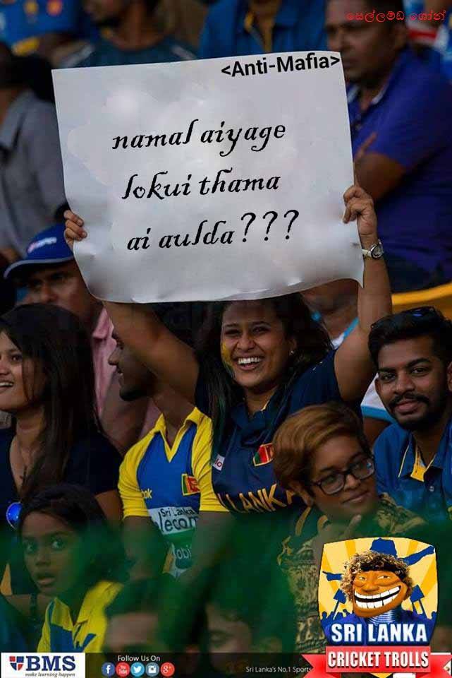 vb: Tehani Imara Photo Case