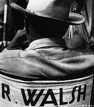 va de vagos - cine: Raoul Walsh. Desde la aventura