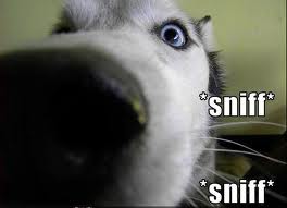 The Ramblings of Charlie Brown: A-Z Challenge: G is for Go and Get the ...