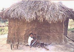 Bohios, Casas de Yagua y Construcciones Tradicionales