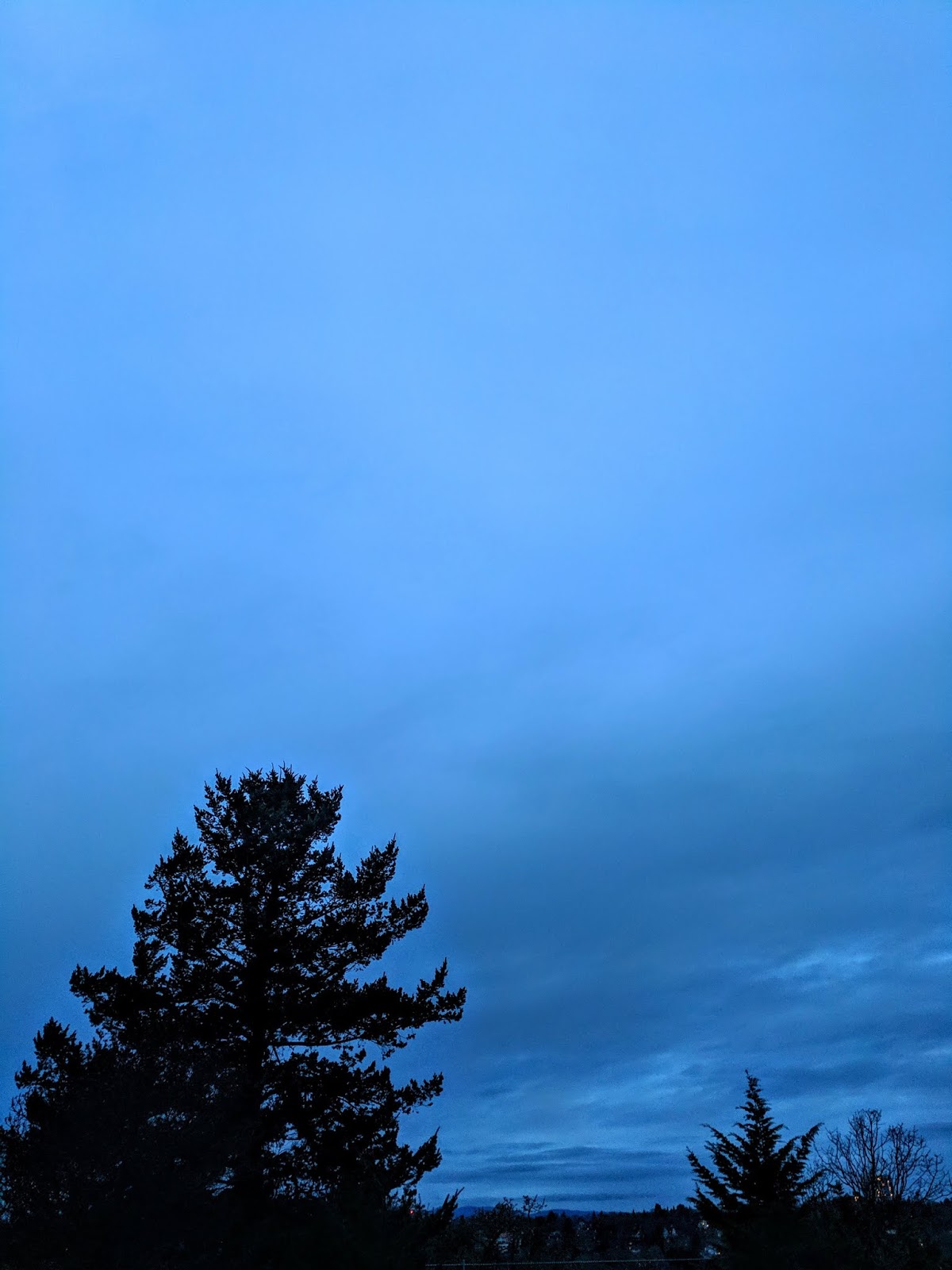 Haiku A Day January 8 2019 haiku-a-day-january-8-2019