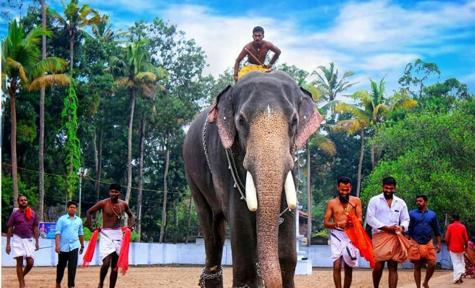 Chirakkal Kalidasan Photos - Chirakkal Kalidasan HD Images