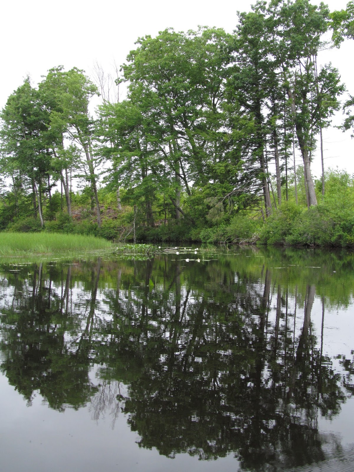 Recreational Kayaking in Maine: Sokokis Lake, Limerick, ME