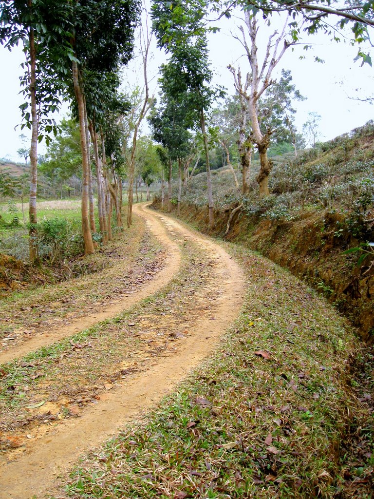 EXPLORE THE WORLD: Brahmanbaria, Bangladesh; Image Gallery