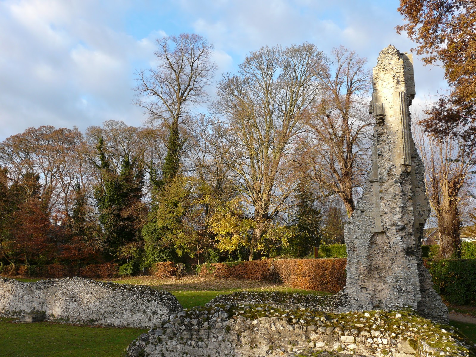 Cindy's Snaps: Thetford Priory, Nunnery Lakes Nature Reserve and ...
