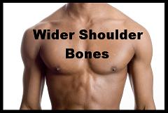 Bone growth centre: Wider Shoulder Bones