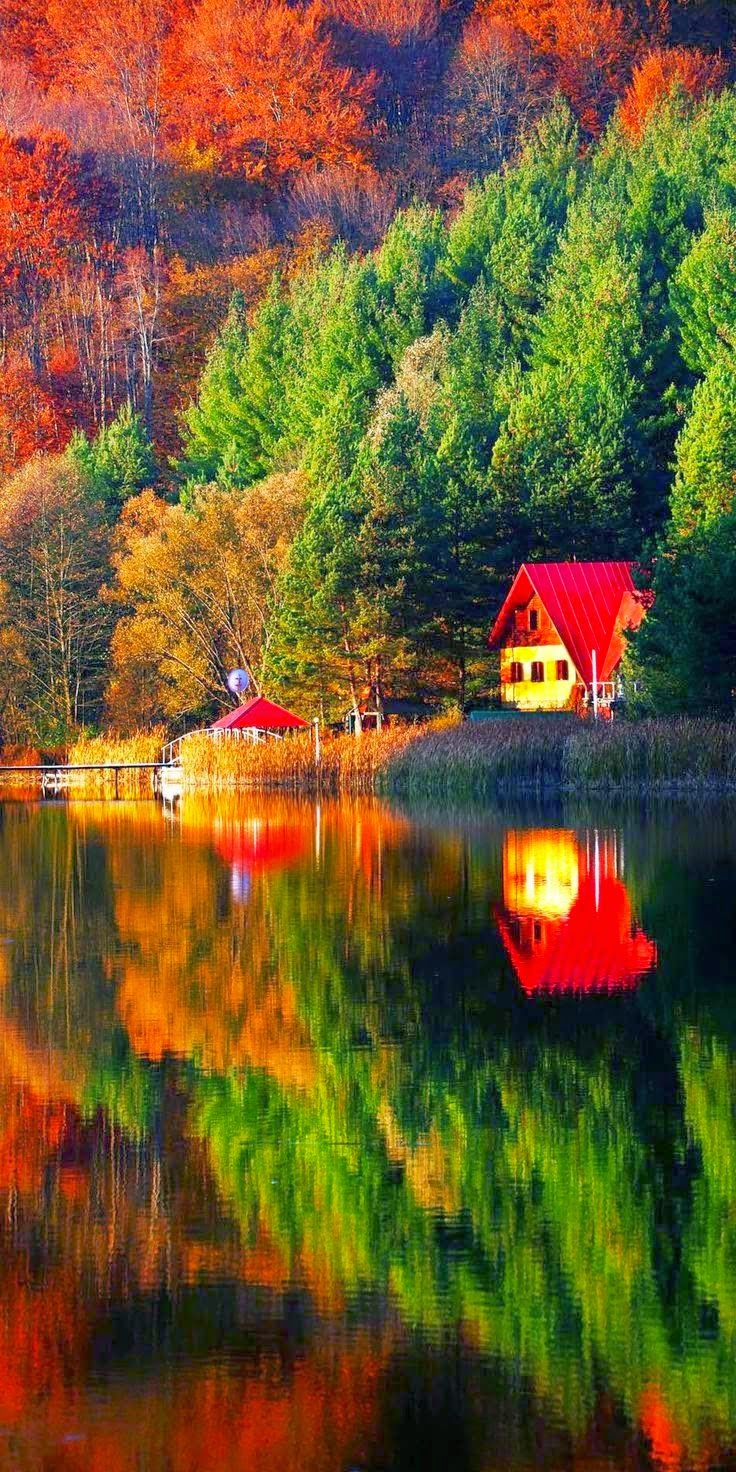 Beautiful nature ~ Stunning nature