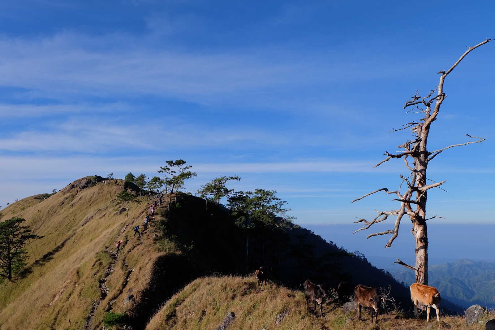 A Day Hike in Mt. Ulap - From The Highest Peak to The Deepest Sea