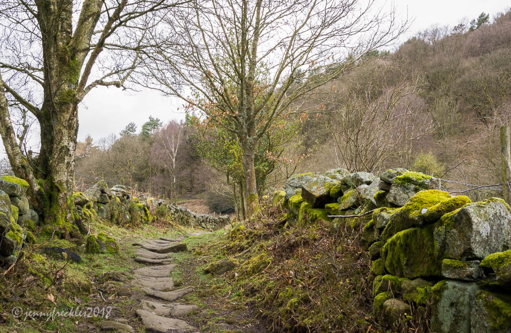 Saltaire Daily Photo: A walk round Hardcastle Crags