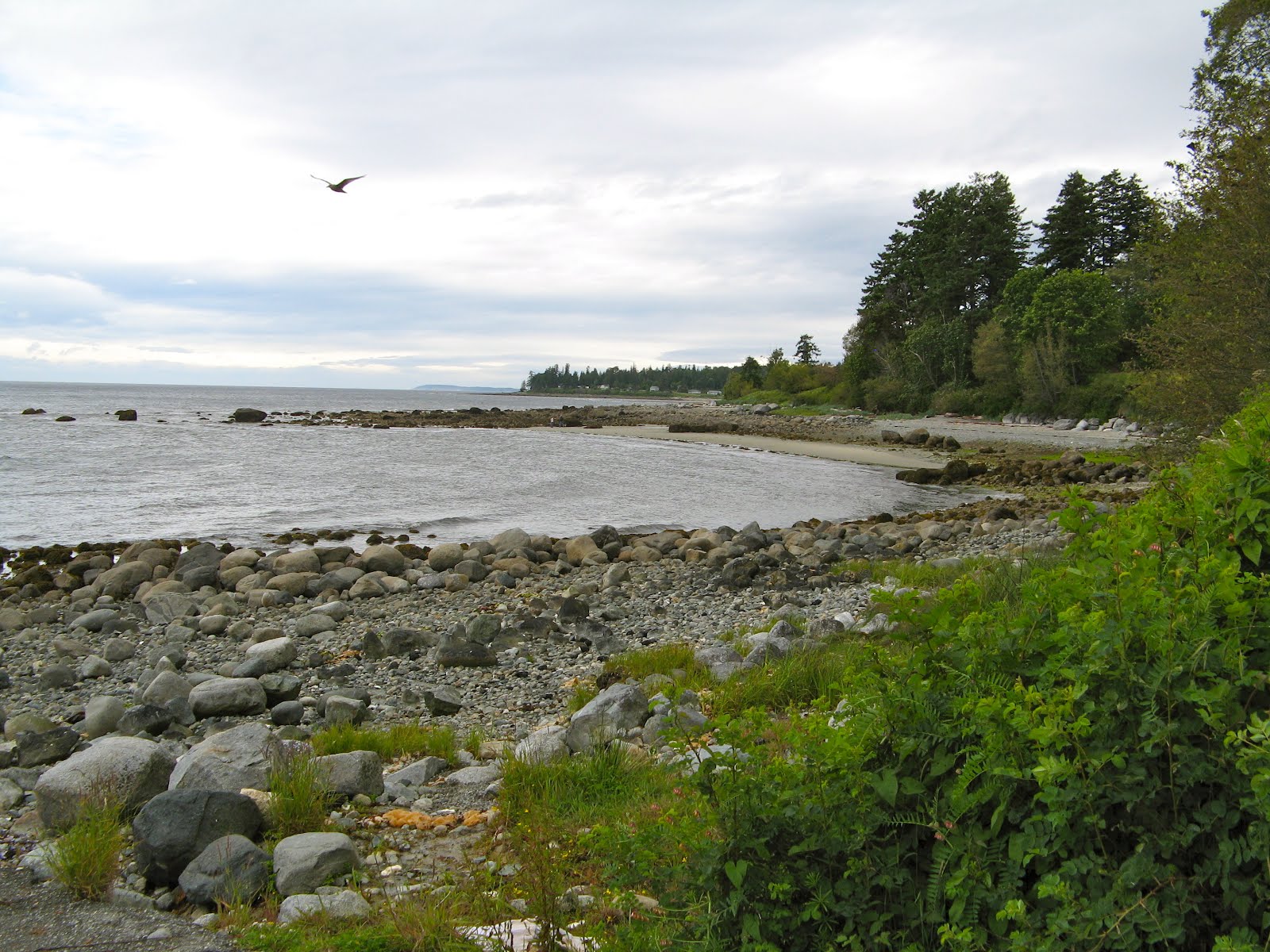 Powell River Books Blog: Gibsons Beach, Powell River BC