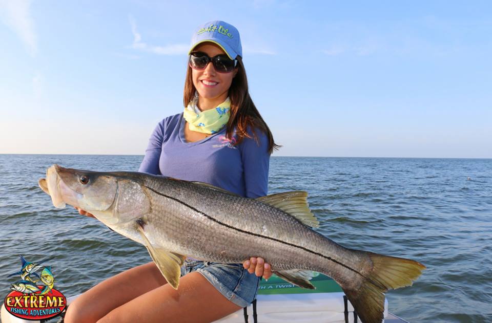 A View from the Beach: Rule 5 Saturday - Another Fish Monger - Luiza Barros