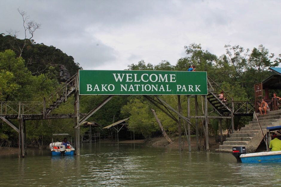 Il parco Bako: una giornata nella natura del borneo malese - Appunti in ...