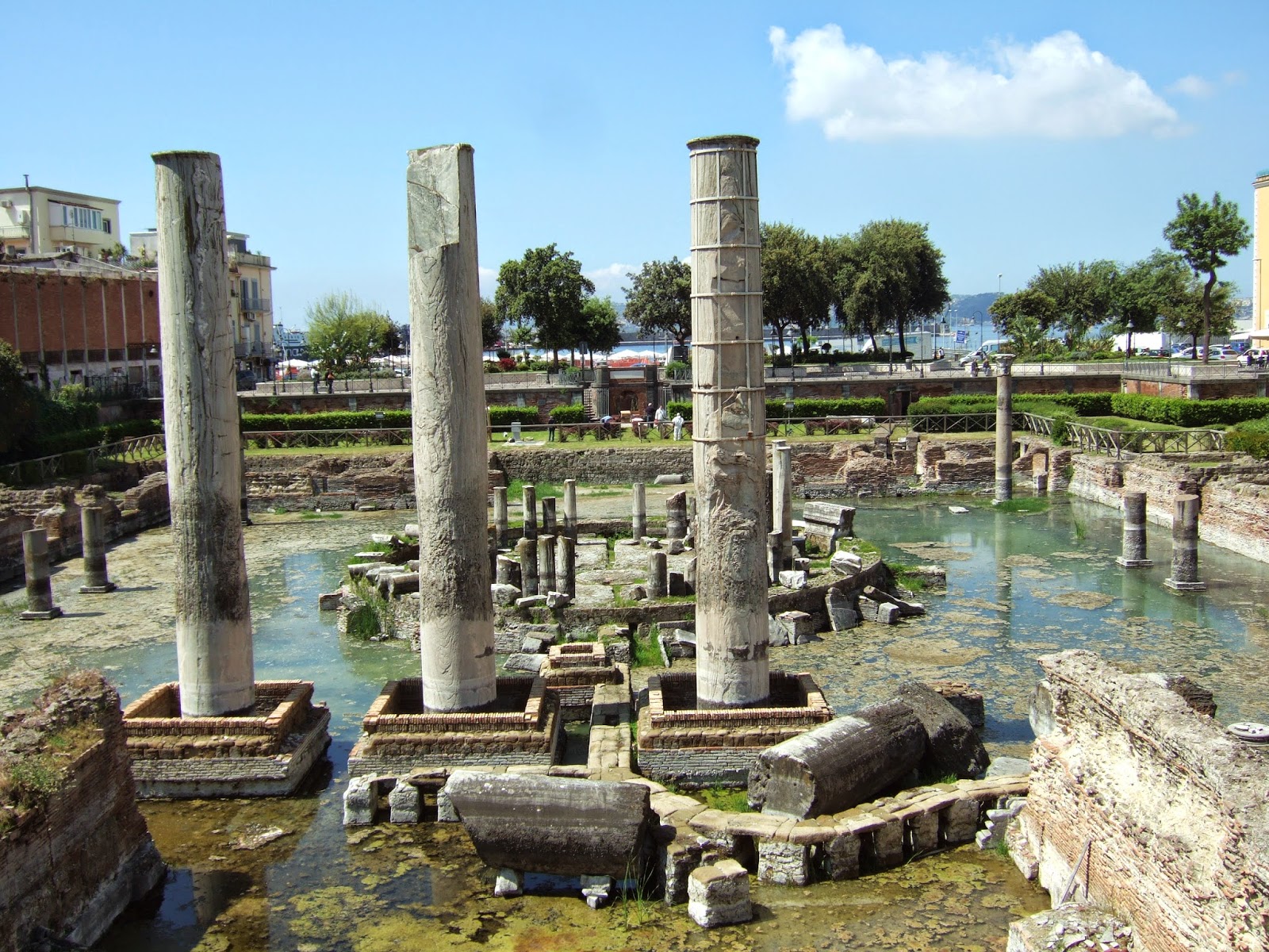 Reading the Washington Landscape: 2014 Geologic Pilgrimage: Macellum of ...