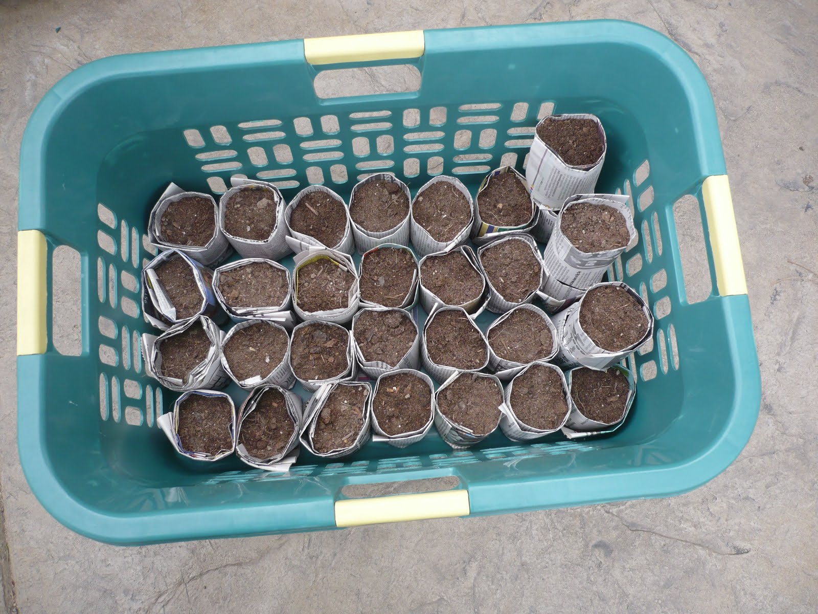 The Chicken Wire: Newspaper Seed Starting Cups