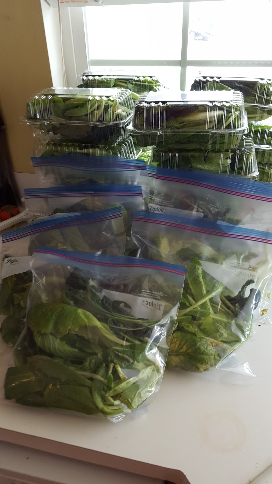 Fabulously Plain and Simple