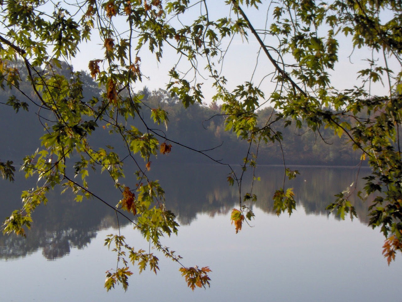 World in Pictures by Isabelle: Rerun: Lake Spangenberg Jefferson ...