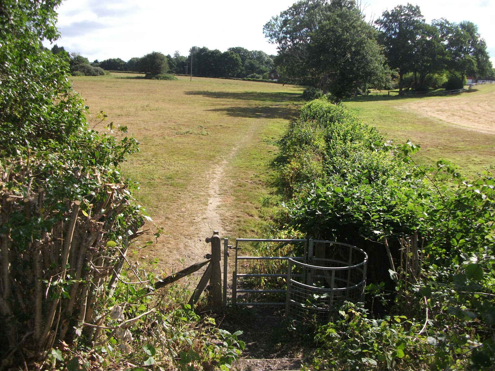 Paul Jonsson (Walking from Woking): Downs Link Walk July 2018 - Woking ...