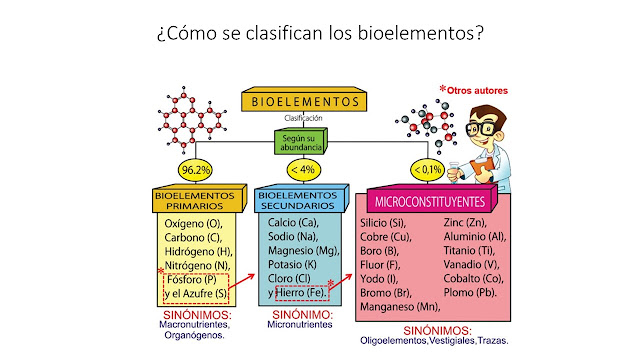 Los Bioelementos: ¿Cómo se clasifican los bioelementos?