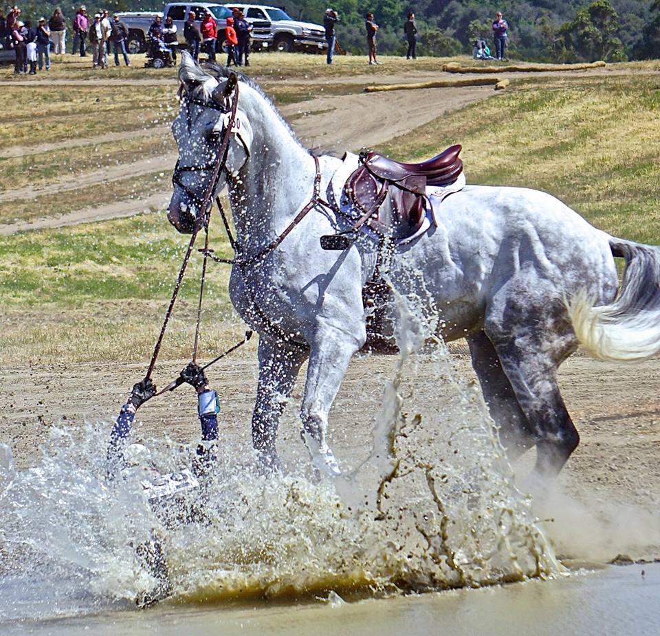 Behind the Bit: Hang onto those reins!